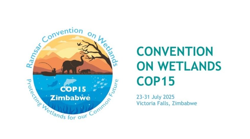 Chile es electo como parte del Comité Permanente de la Convención Ramsar sobre humedales y ...