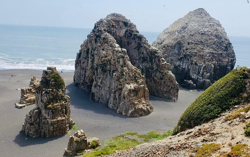 Ministerio del Medio Ambiente inicia consulta pública sobre listado de ...