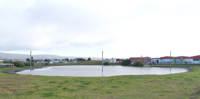 ¡Protegimos un nuevo ecosistema acuático en Magallanes! Subsecretario ...